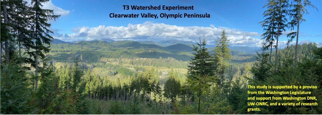 T3 Watershed Experiment | Olympic Natural Resources Center