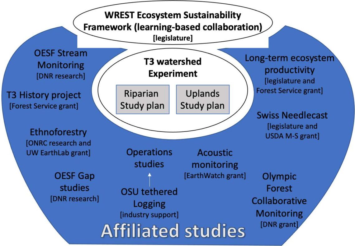 T3 Watershed Experiment | Olympic Natural Resources Center
