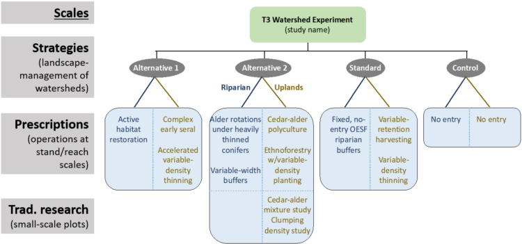 T3 Watershed Experiment | Olympic Natural Resources Center