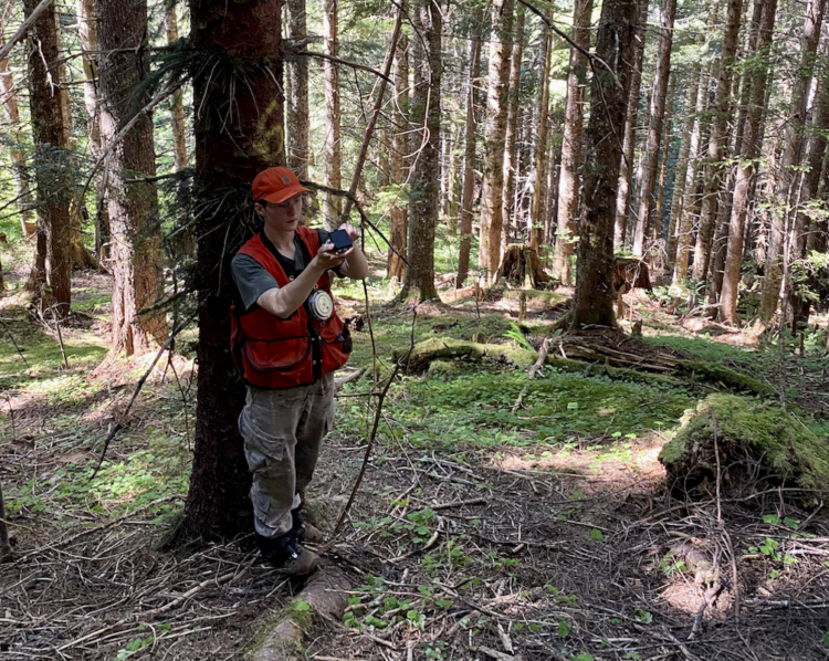T3 Watershed Experiment | Olympic Natural Resources Center