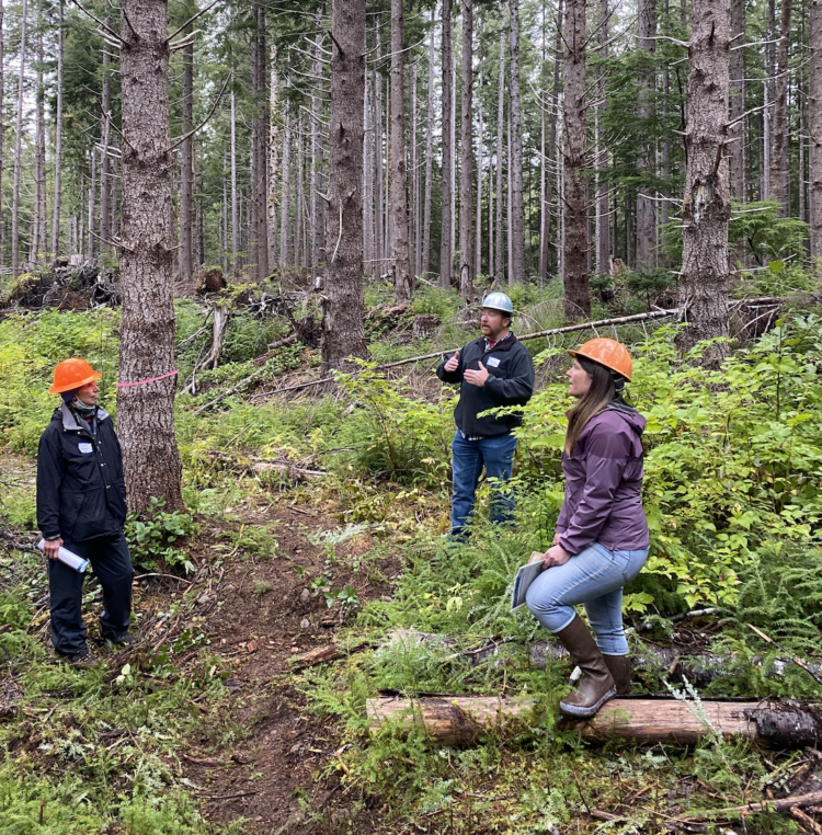 T3 Watershed Experiment | Olympic Natural Resources Center
