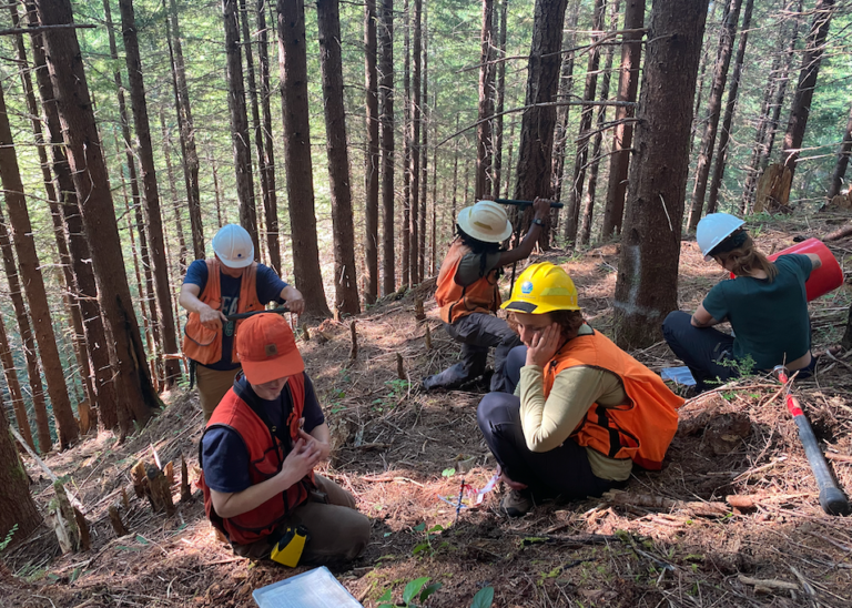 T3 Watershed Experiment | Olympic Natural Resources Center