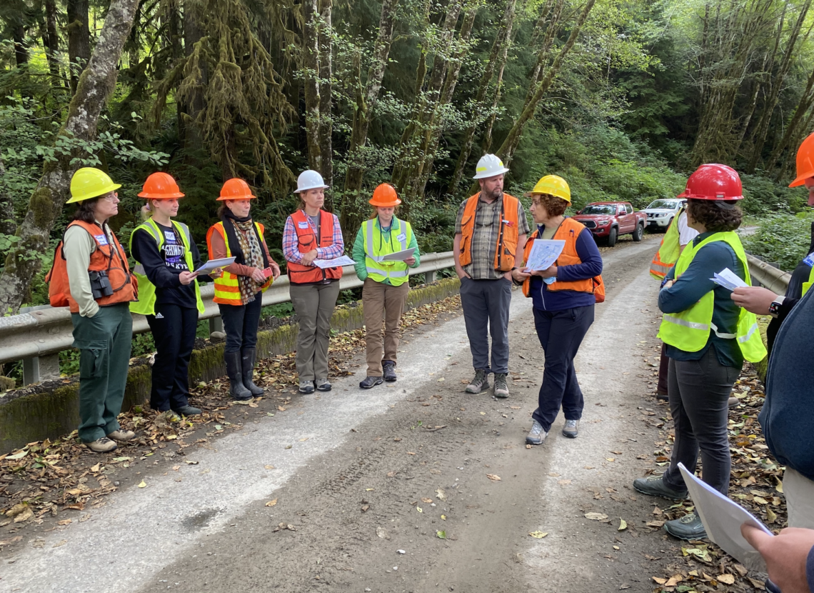 T3 Watershed Experiment | Olympic Natural Resources Center