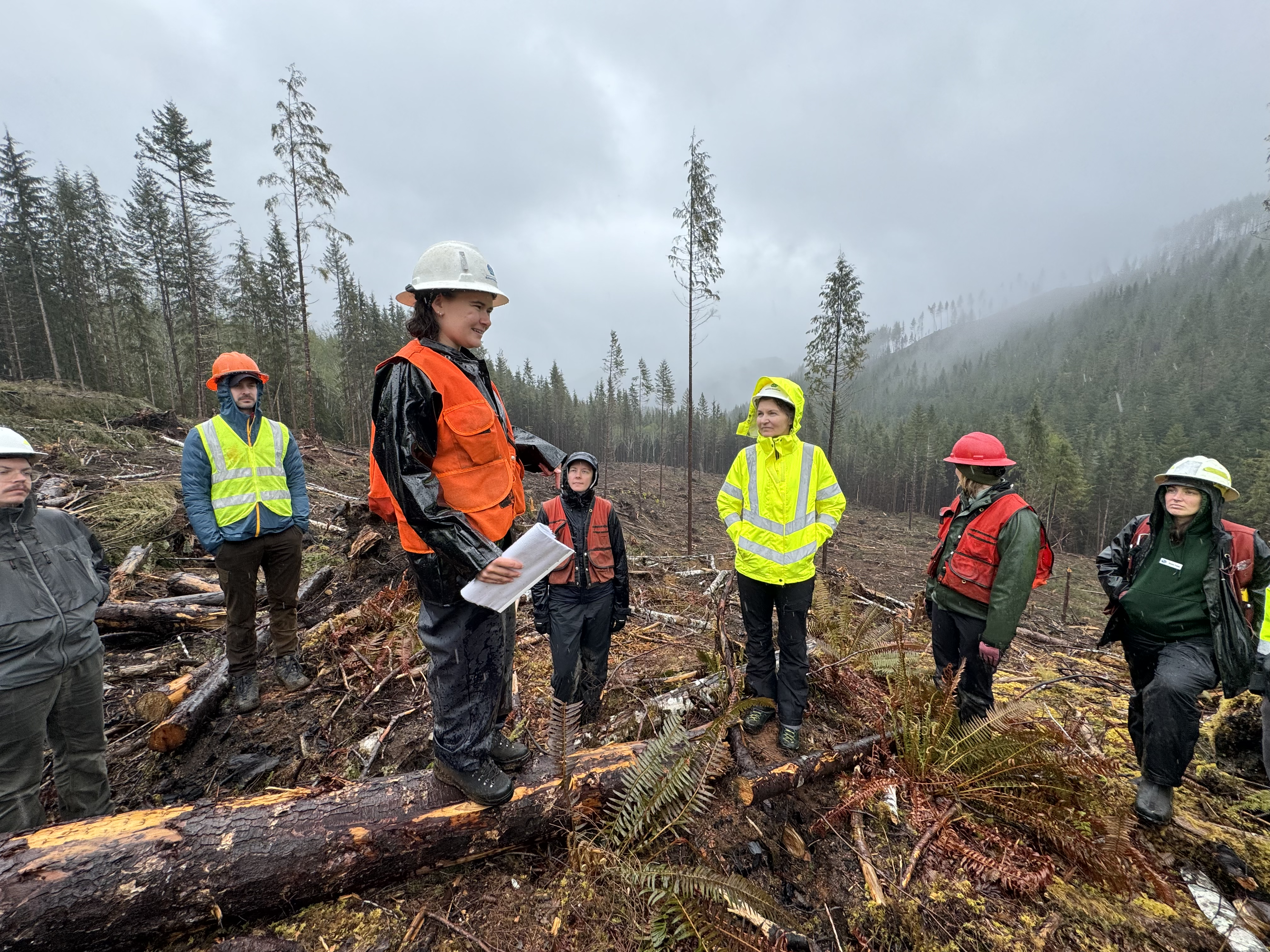 T3 Watershed Experiment | Olympic Natural Resources Center